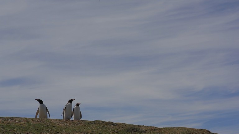 « GEODESIE, L’IMPOSSIBLE TRACE , GALERIE ODILE OUIZEMAN | «INFERNO