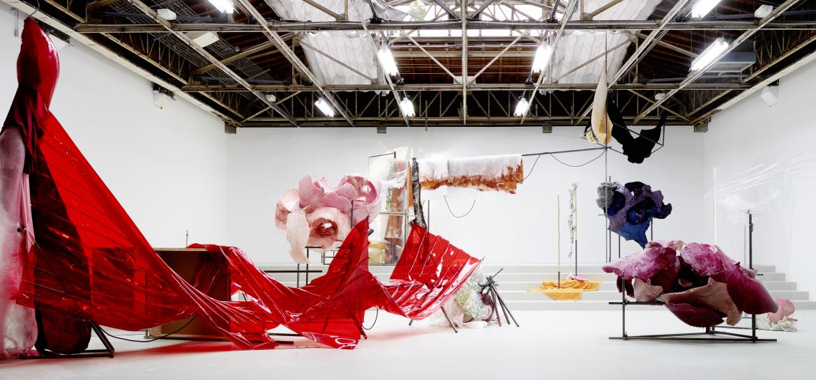 DAIGA GRANTINA, « TOLL , PALAIS DE TOKYO | «INFERNO