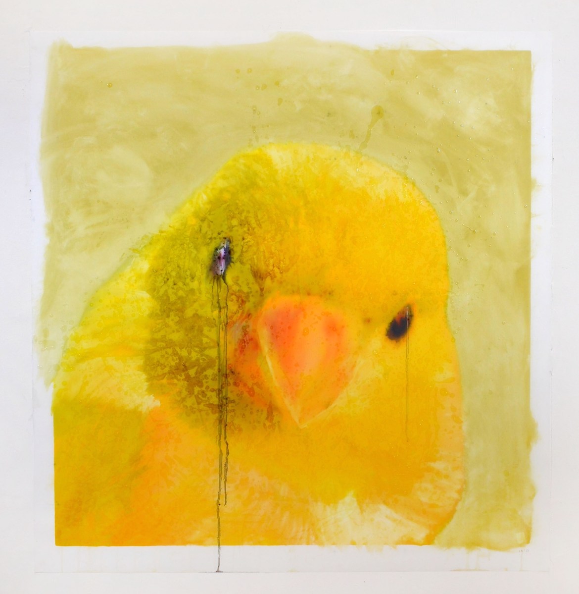 IDA APPLEBROOG, « APPLEBROOG BIRDS , HAUSER & WIRTH NEW YORK | «INFERNO